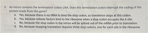 Solved An Intron Contains The Termination Codon Uaa Does