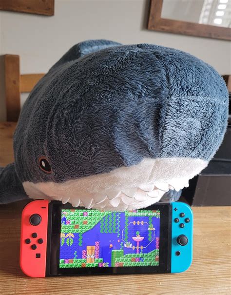 Need Input From Cutest To Least Cute How Would You Rank These Images