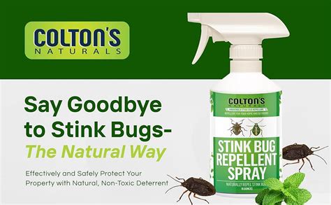 Stink Bug Repellent Spray Natural Indoor And Outdoor Bug