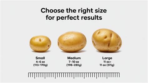 Yukon Gold Potato Size Chart Cook Perfectly Every Time
