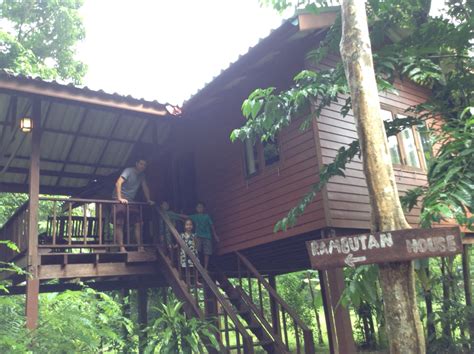 Jungle Tree House Adventures With Jonah