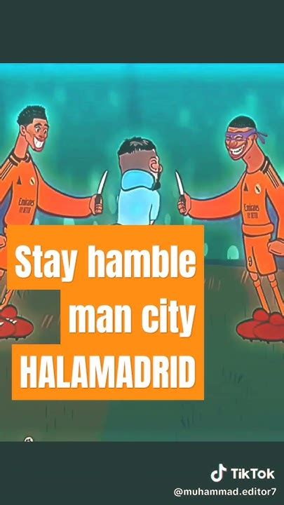 Stay Hamble Haland Youtube