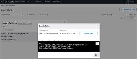 Building A RESTful Web Service Using SQL Developer Web PUT