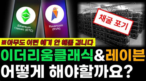 이더리움클래식 레이븐코인 아무도 이 얘기는 안 해줬을 겁니다 Youtube