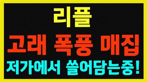 리플 고래들의 매집은 계속 증가하고 있다 급등은 시간 문제 Youtube