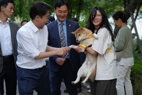 개 준스기 이 짤 뭐냐 정치시사 에펨코리아