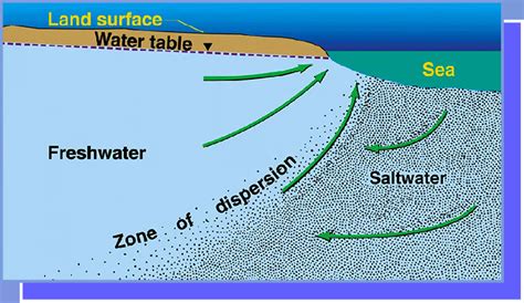 Brackish Water Where Fresh Meets Salt Guide Thinktank