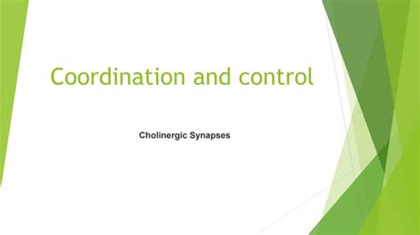 Cholinergic Synapses Cordination And Control Pptx