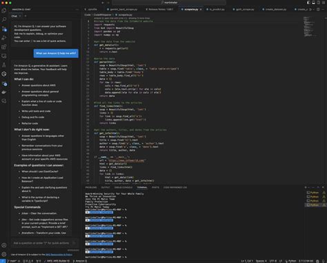 amazon q developer review code completions code chat and aws skills