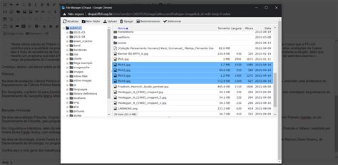 Manipulando Textos Informática