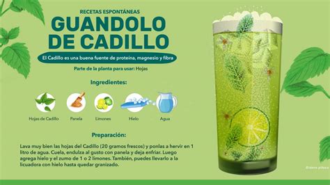 Cadillo Masequía Conservación Medellín