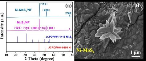 A Xrd Pattern Of Ni Mos X Nf And Ni 3 S 2 Nf B Sem Image Of