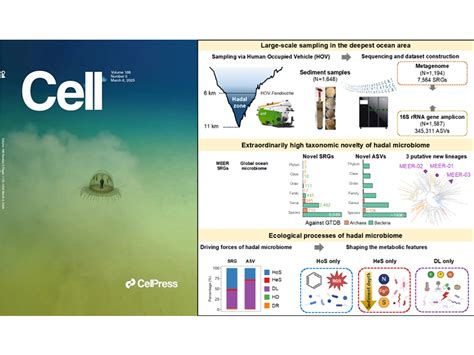 上海交通大学中文主页门户网站