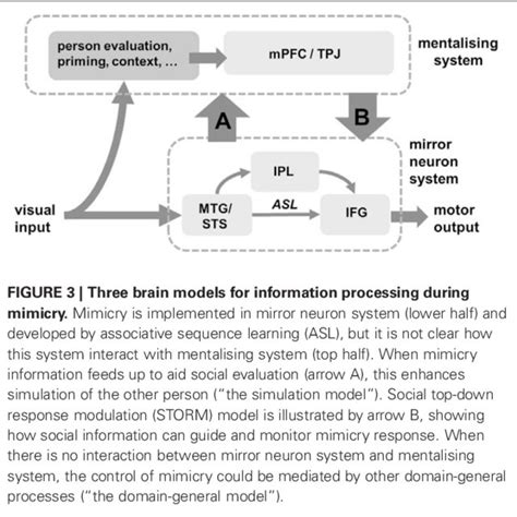1 The Triadic Structure Of Relationships Download Scientific Diagram