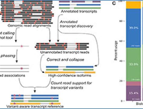 The Gatk Best Practices For Variant Calling On Rnaseq Rna Seq Blog