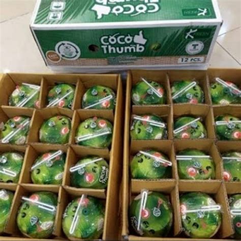 Jual Kelapa Muda Thailandcoco Tumb 1 Dus Jakarta Barat Alifa Smart Tokopedia