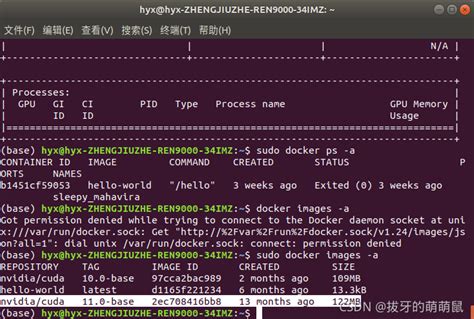 Nvidia Docker安装教程 Csdn博客