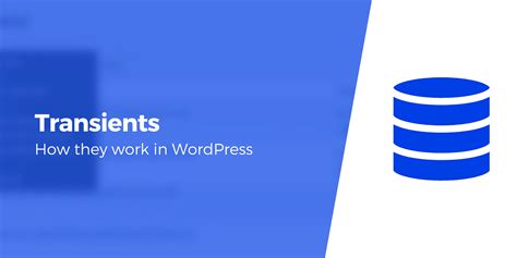 A Guide To Wordpress Transients What You Need To Know