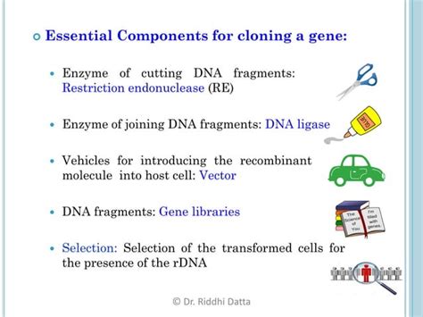 Basics Of Gene Cloning Pdf