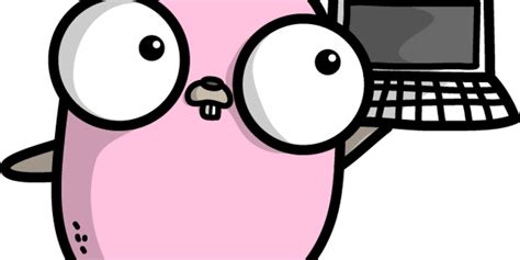 Create Golang Server In 15 Lines Dev Community