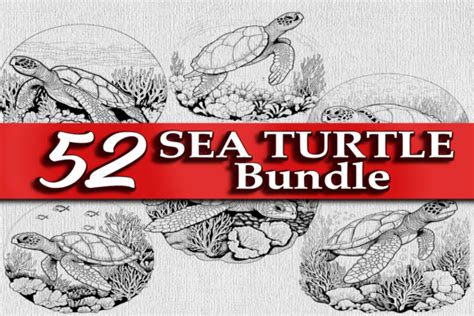 Sea Turtle Vector Bundle Svg Png Eps Dxf Graphic By First Edition