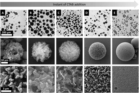 Polystyrene Particles Prepared By Suspension Polymerization At 70 °c Download Scientific