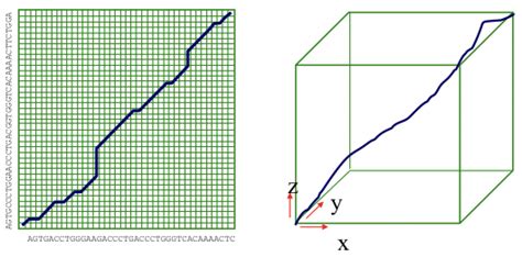 54 Whole Genome Alignment Biology Libretexts
