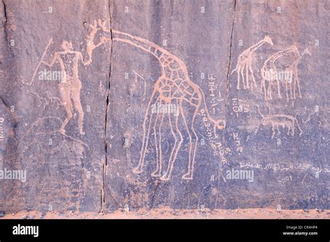 Neolithic Rock Art Giraffe Engraving Of The Tadrart Tassili Najjer