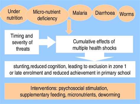 Conceptual Framework For Section 3 Download Scientific Diagram Conceptual Framework For Section 3 Download Scientific Diagram