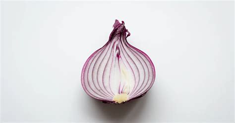 tor browser and network anonymous web browsing privacy guides