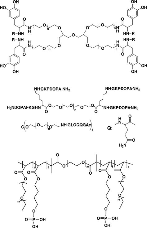 Some Examples Ofpolymers Usedin Enzymatic Reactions By Hrp Tg And Pp Download Scientific