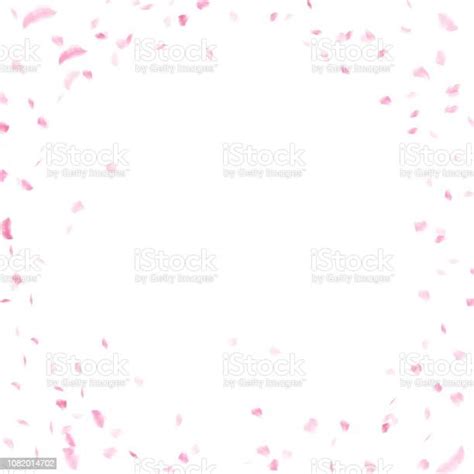 사쿠라 꽃잎 분산형 수채화 잉크 예술적 질감 추상 배경 벡터 일러스트 레이 션 꽃잎에 대한 스톡 벡터 아트 및 기타 이미지 꽃잎 수채화 꽃 식물 Istock
