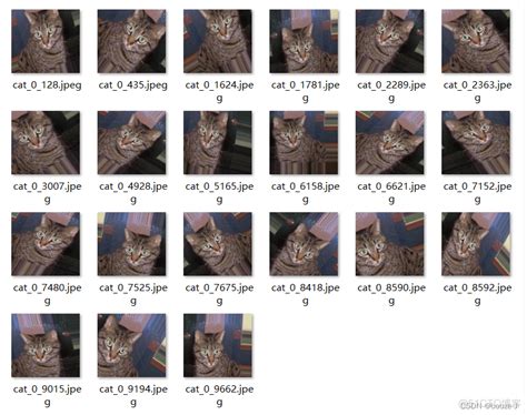 Kaggle猫狗数据集knn算法 猫狗分类数据集下载mob6454cc70cb6b的技术博客51cto博客