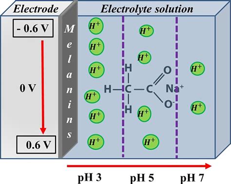 Polymer International Vol 73 No 11