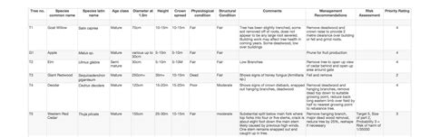 Tree Surveys Why Bother The Care Of Trees