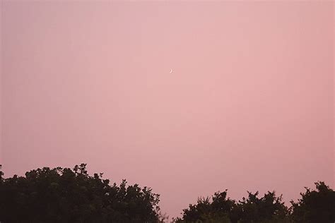 Aura Colours The 8 Types And How To Intuitively Read Them