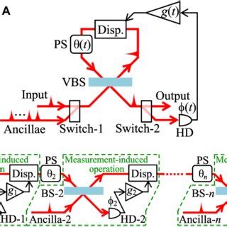 Conceptual Schematic Of The Loop Based Circuit A Physical Download Scientific Diagram