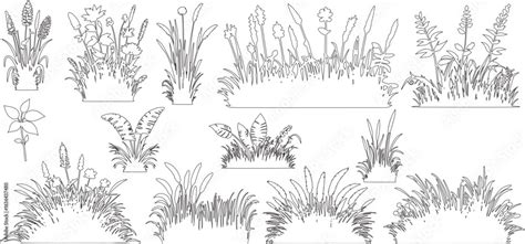 Plant Elevation Line Silhouettes Outline Grass Shrub Tree Set Vector Stock Vector Adobe Stock