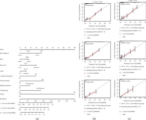 Predictors Of Distant Metastasis And Prognosis In Newly Diagnosed T1