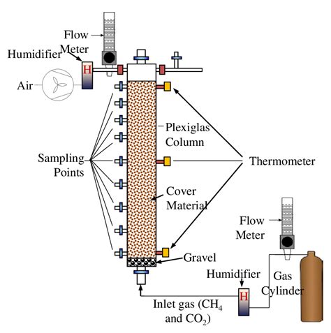 Sketch Of The Column Experiment Download Scientific Diagram