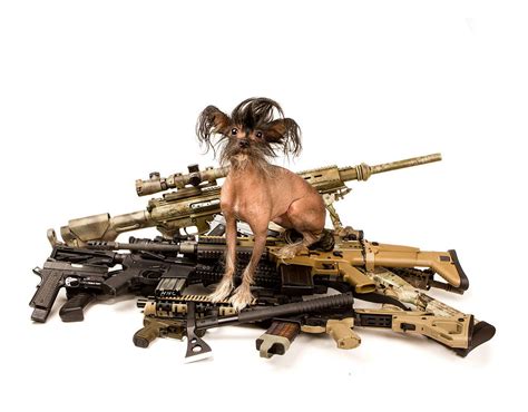 14 Design You Trust — Design Daily Since 2007