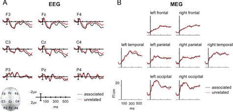 Group Averaged Eeg And Meg Sensor Level Signals Time Locked To The Download Scientific Diagram