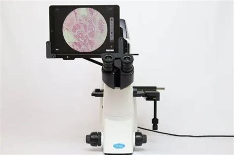 Led Inverted Microscope 4x 10x 40x 100x Oil At Best Price In Thane Id 25501416997