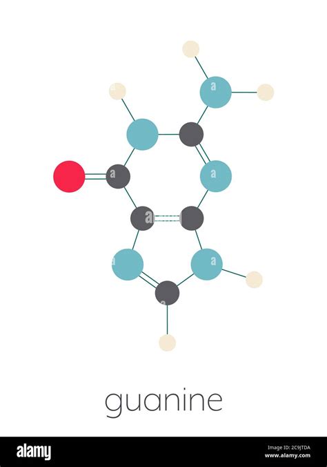Guanine G Purine Nucleobase Molecule Base Present In Dna And Rna Stylized Skeletal Formula