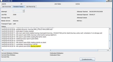 Remote Infrastructure Management Ms Sql Server Backup And Recovery