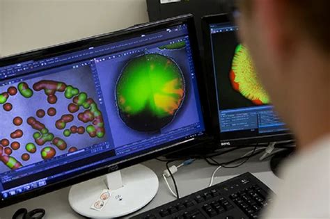 Computational Biology Bioinformatics Testing Service In Moranhat Id 26184797573