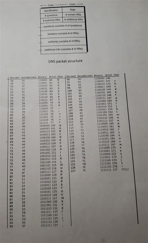 Solved Here Is A Dns Packet Captured By My Wireshark This