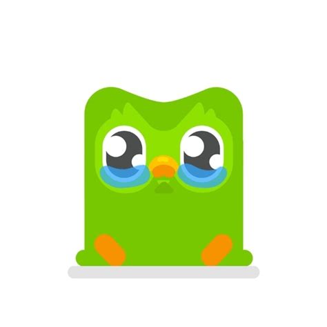 Cười Nghiêng Ngả Với Bộ ảnh Duolingo Meme Cực Hài Hước