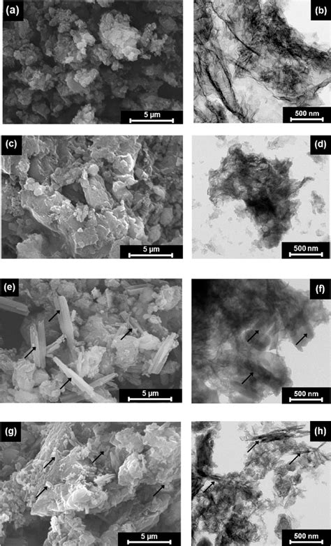 sem left and tem right micrographs of the synthesized download