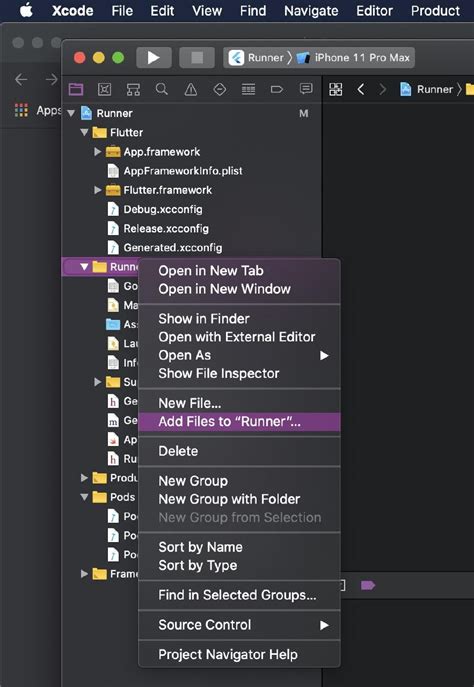 Fail To Open Ios App Using Flutter Firebase Stack Overflow